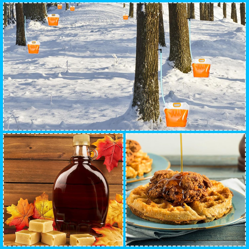 10 Sets Maple Syrup Tapping Kit Include 10 Maple Syrup Taps 10 Pcs 3 Ft ...