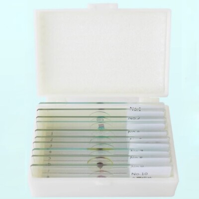 10PCS Prepared Microscope Slides in Algae Specimen f Teaching ...