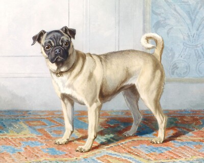 1800s Vintage Pug Portrait Painting Giclee Print on Fine Art Paper | eBay