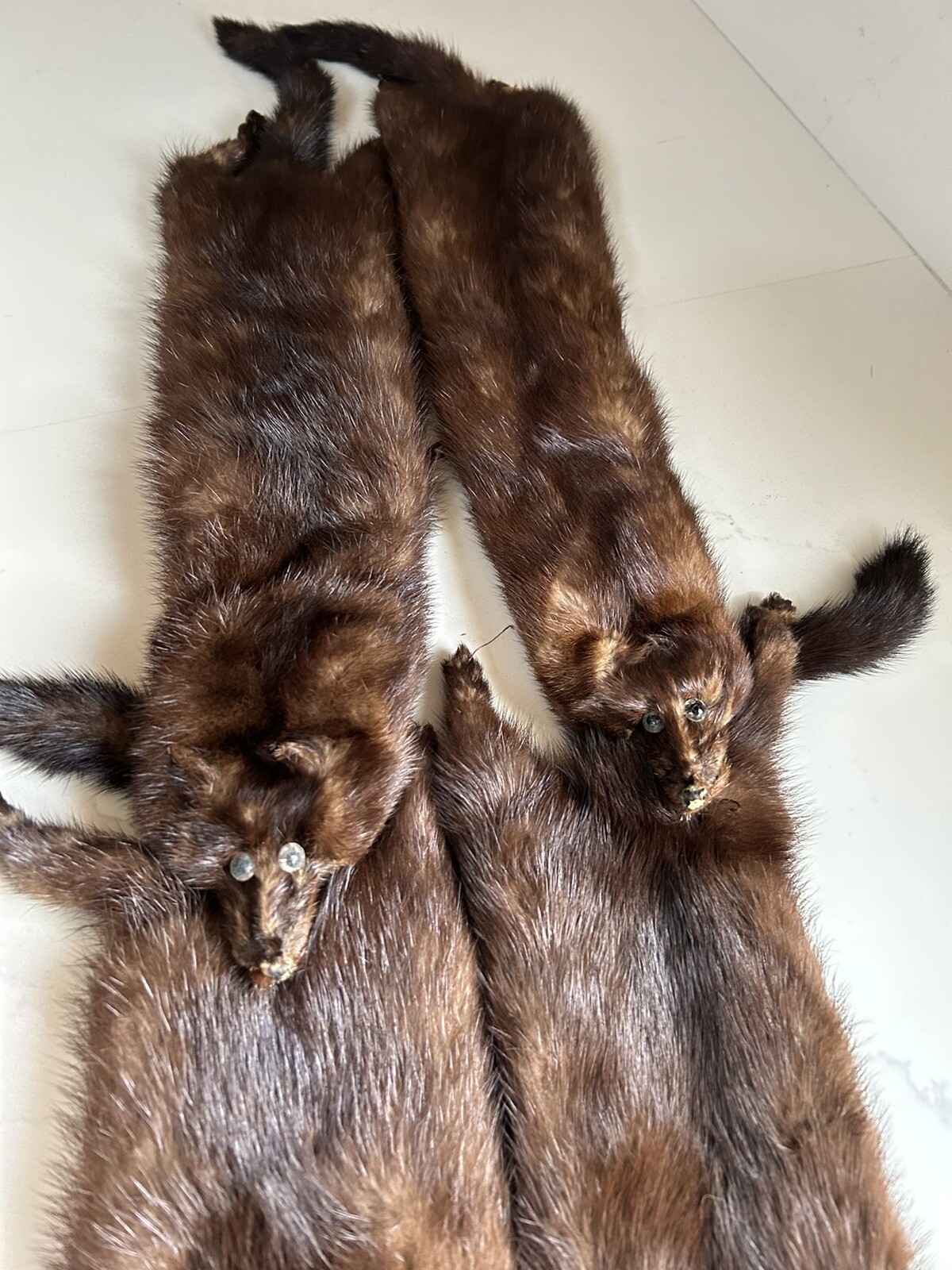 VINTAGE FOX STOLE 4 PELTS MARSHALL FIELDS - Gem