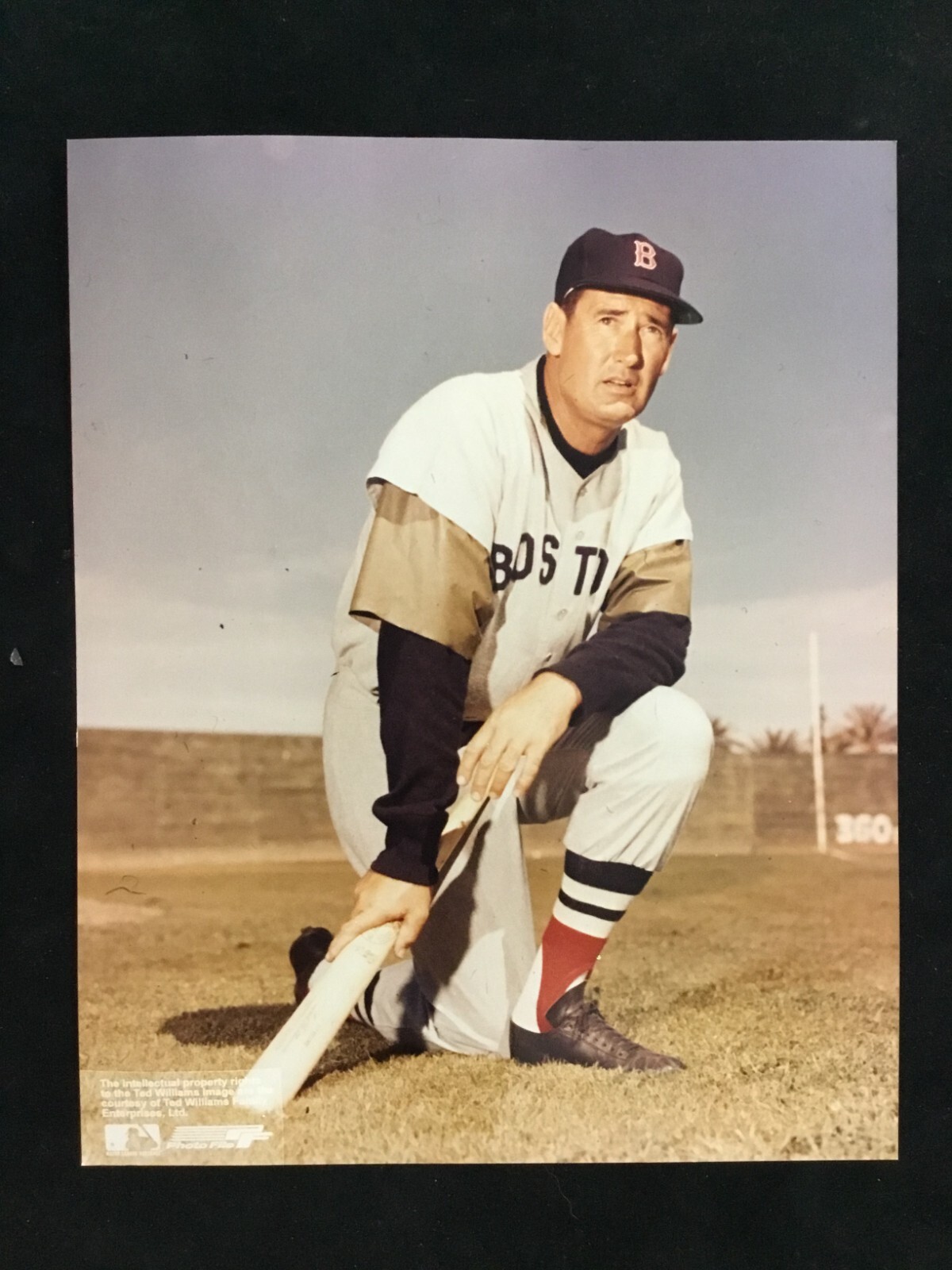 Ted Williams Baseball Player
