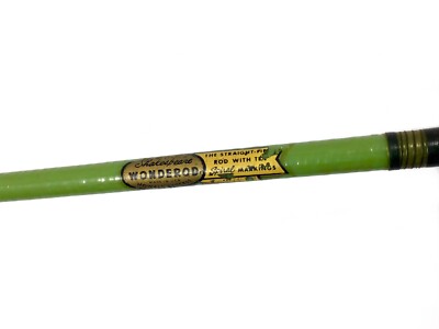 Spinning - Shakespeare Wonderod Spinning Fishing Rod