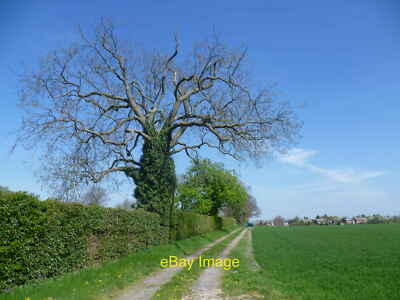 Photo 6x4 Track leading to Netherhall Farm 3 c2013 | eBay UK