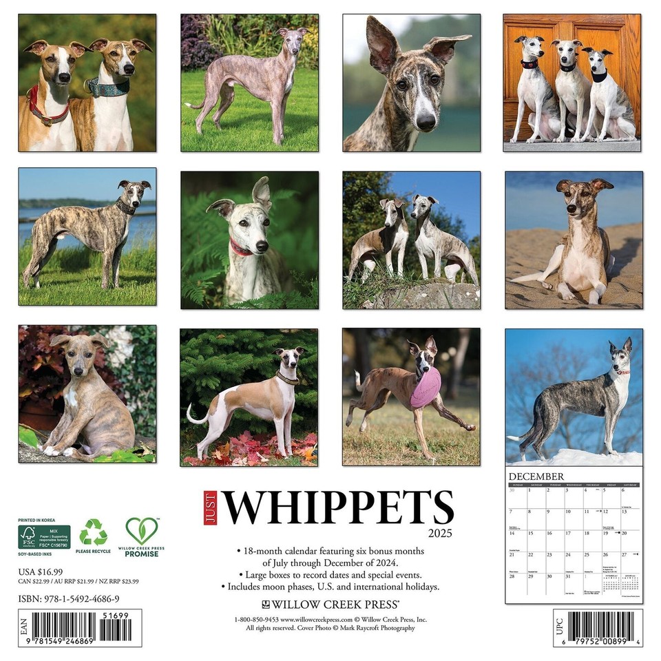 Willow Creek Whippets 2025 12 x 12 Wall Calendar w 679752007041| eBay
