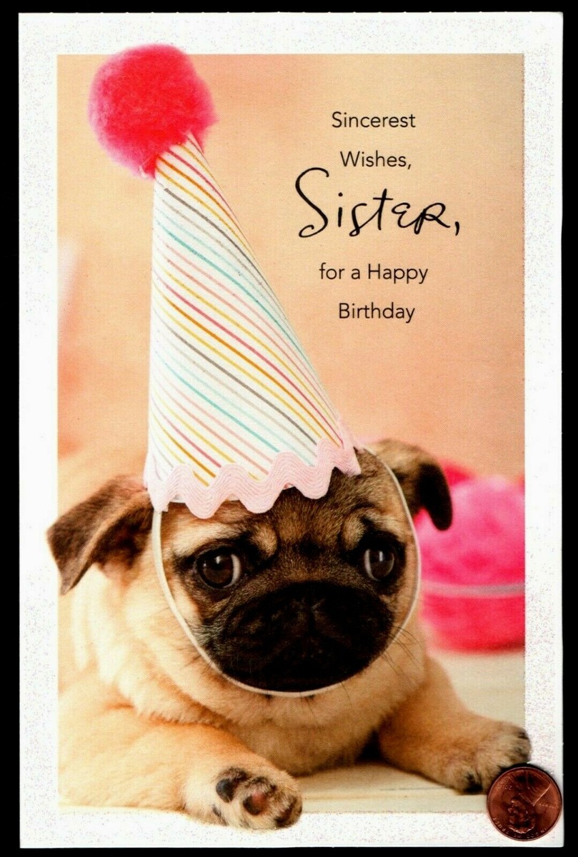Pug Dog Birthday Memes Happy 22nd Birthday Card 22 Is 154 In Dog
