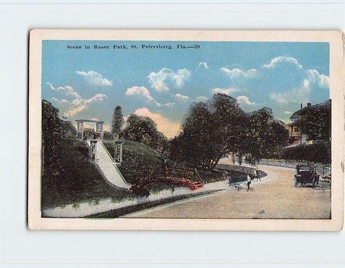 Postcard Scene in Roser Park St. Petersburg Florida USA | eBay