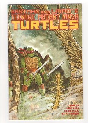 Teenage Mutant Ninja Turtles #37 Mirage Publishing 1991 VF/NM | eBay