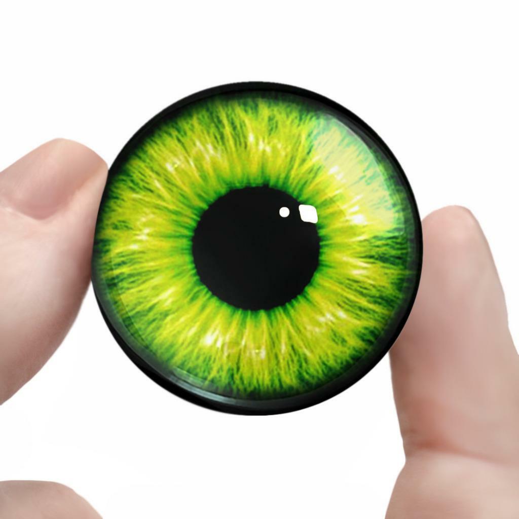 Large Glass Eyes Monster Taxidermy Doll Craft Eyeballs 38mm | eBay