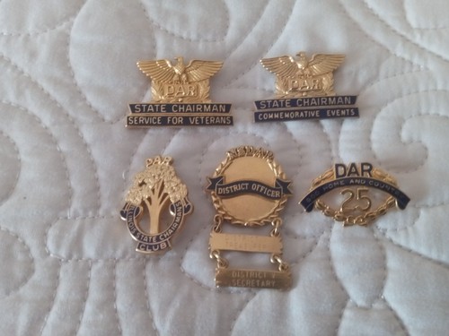 Five NSDAR Pins | eBay