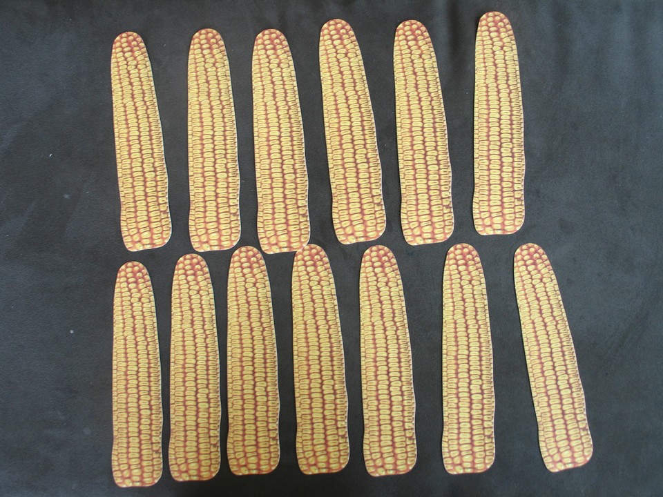 36 corn Halloween and Thanksgiving Decorations and Crafts. | eBay