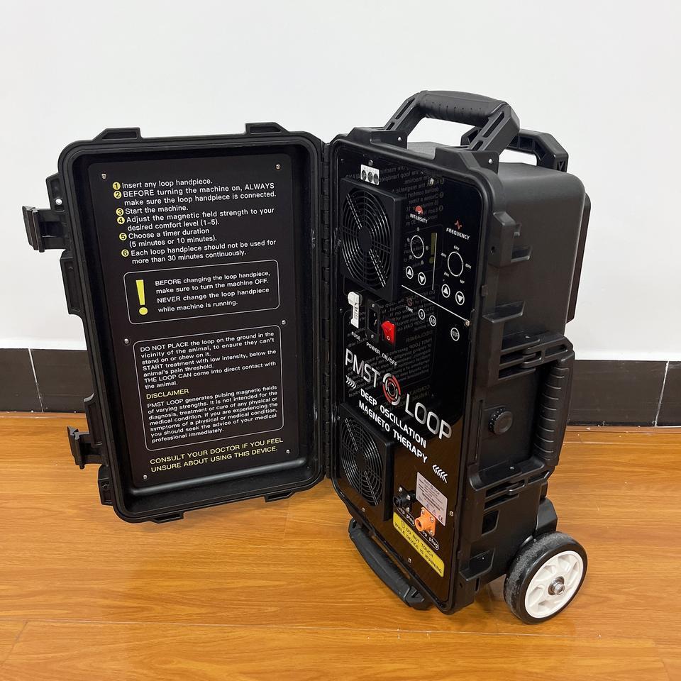 Horses PEMF Pulse Electromagnetic Therapy PMST Machine Double Loop F ...
