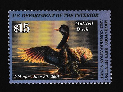 RW 67 Mottled Duck Federal Duck Stamp MNH OG | eBay