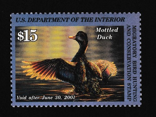 RW 67 Mottled Duck Federal Duck Stamp MNH OG | eBay