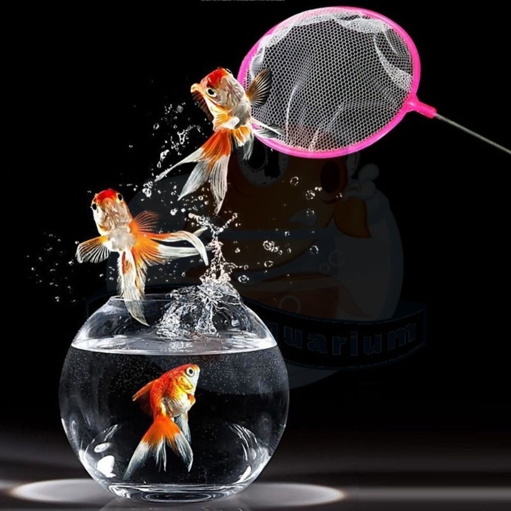 Plastic Tiny Fish Tank Net Random Color Fine Net Mesh Skimming Net ...