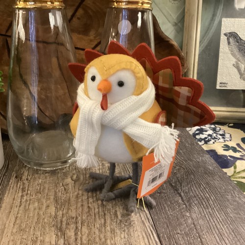 Target 2023 Hyde And Eek COCO Turkey Bird Halloween Fall Thanksgiving ...