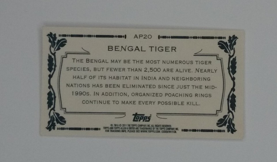 2011 TOPPS ALLEN & GINTER #AP20 BENGAL TIGER ANIMALS IN PERIL MINI ...