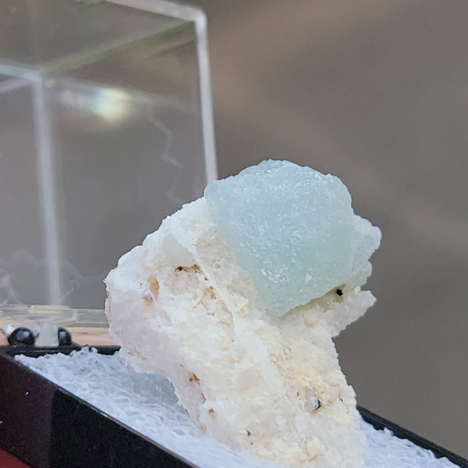 ARIZONA FLUORITE CRYSTAL HARDY MINE in perky box MOJAVE COUNTY GREEN ...