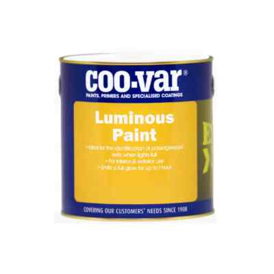 Coo-Var Luminous Paint Yellow Green | eBay UK