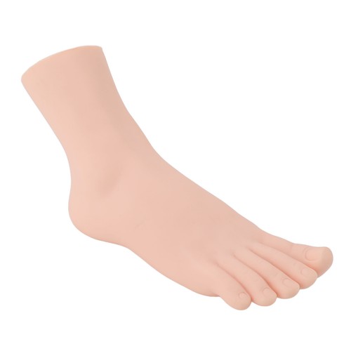 Female Right Foot Mannequin Simulated Feet Model Realistic Foot Model ...