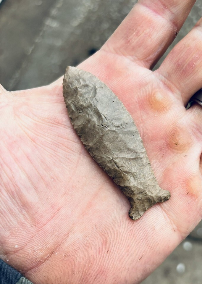 Paleo Beaver Lake Tennessee Point Arrowhead 🔥 Thin Nice Paleo Flaking ...