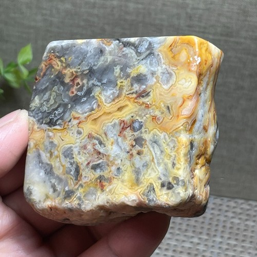 Raw Mexican Crazy Lace Agate Slab Rough Mineral Display Gem specimens ...