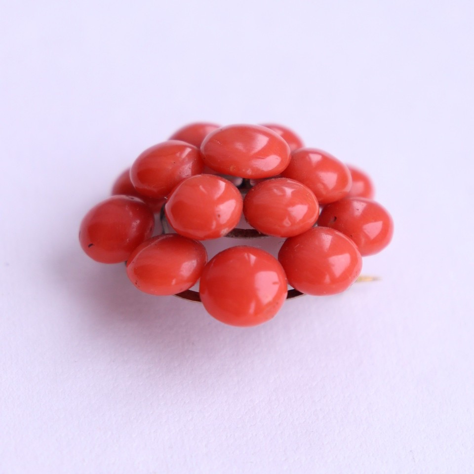 Victorian Antique Vintage Sciacca Coral Brooch D: 1.32in - NO TARIFF | eBay