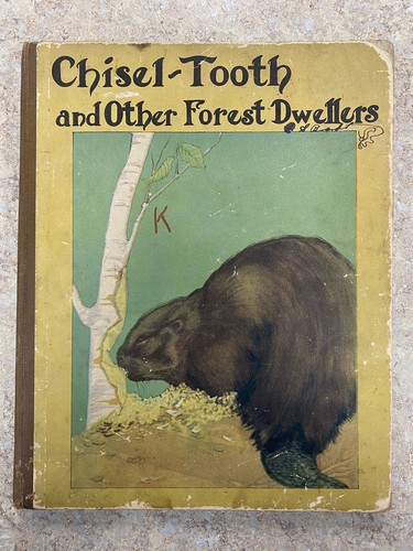 Chisel-Tooth & Other Forest Dwellers Illustrated by Frank N. Shankland ...