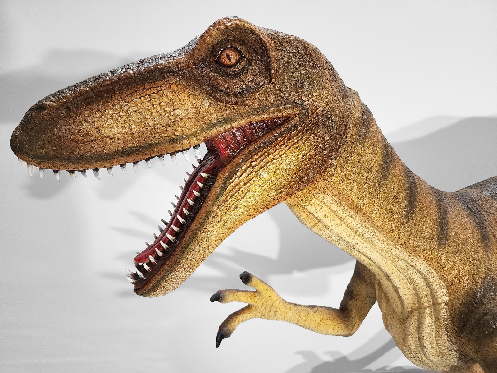 Velociraptor Dinosaur Statue Jurassic Dino Life Size Raptor 11FT Museum ...