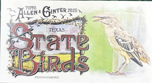 2025 Topps Allen & Ginter "State Birds" Texas (Mockingbird) #SB-43 | eBay