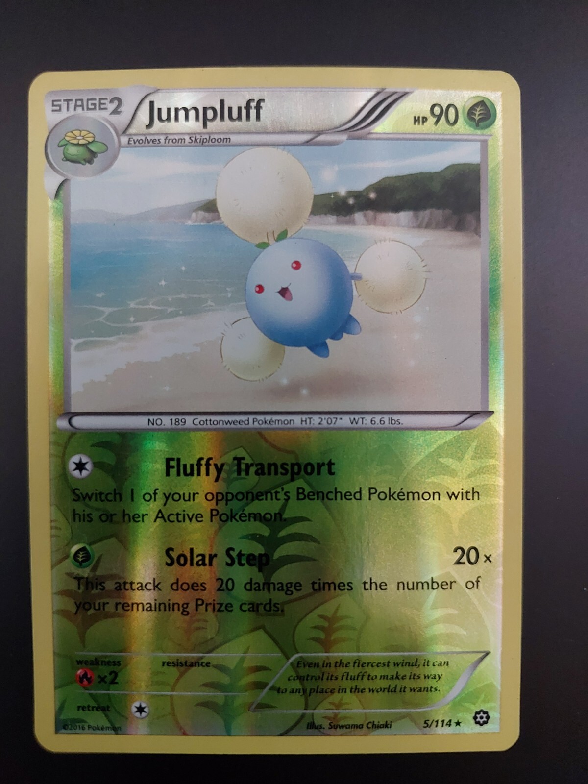 Jumpluff 5/114 reverse holo Pokémon card | eBay Australia