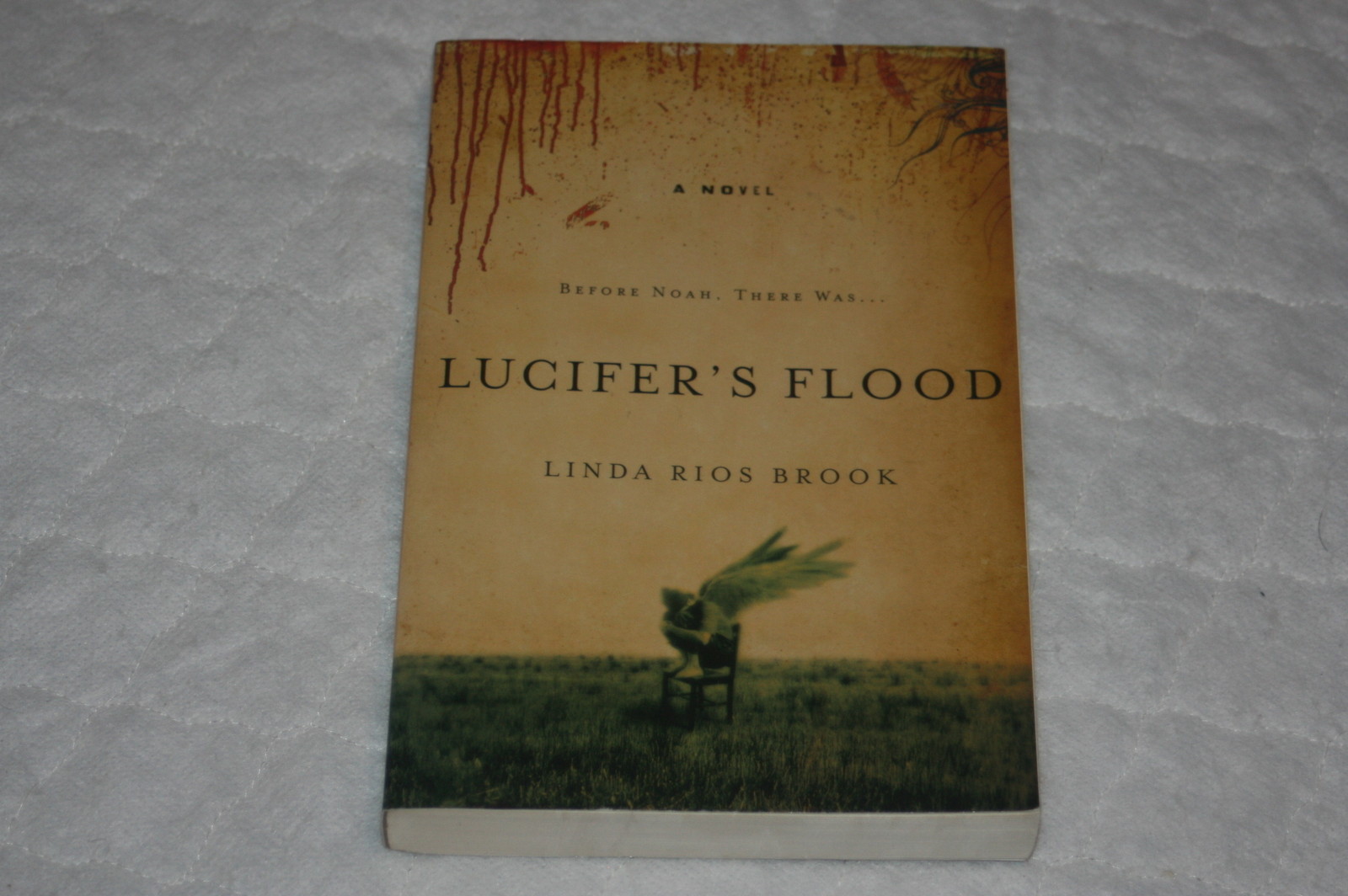Lucifer's Flood by Linda Rios Brook (2008, Paperback) 9781599793146| eBay