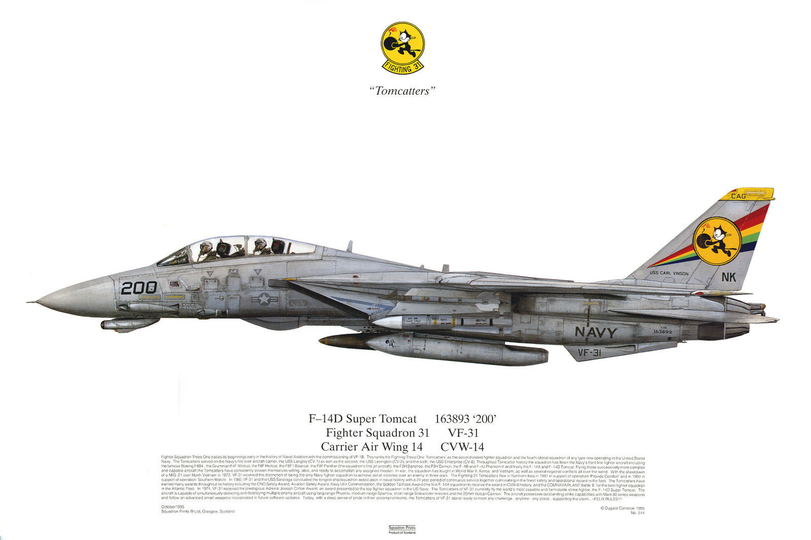 Squadron Print 514 F-14D Super Tomcat VF-31 USS Carl Vinson US Navy ...
