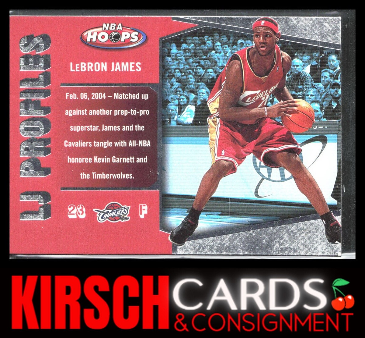 Lebron James Hurle NBA: NFL Spielerfrau Unterstellt LeBron James