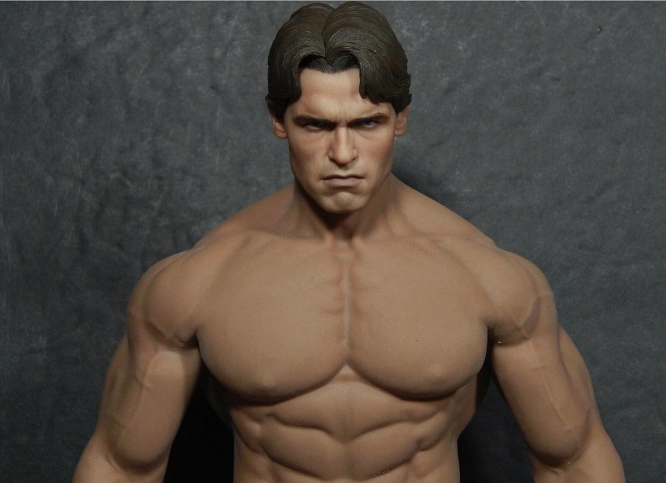 Custom Made 1/6 Arnold Seamless action figure 12" doll for Phicen ...