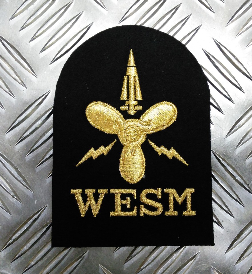 Royal Navy Embroidered Assorted Branch Qualification RN Badge / Patch ...