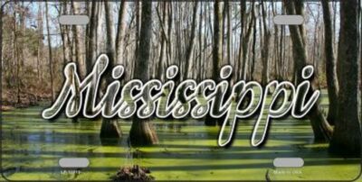 Custom Novelty License Plate Car Tag With Mississippi View | eBay