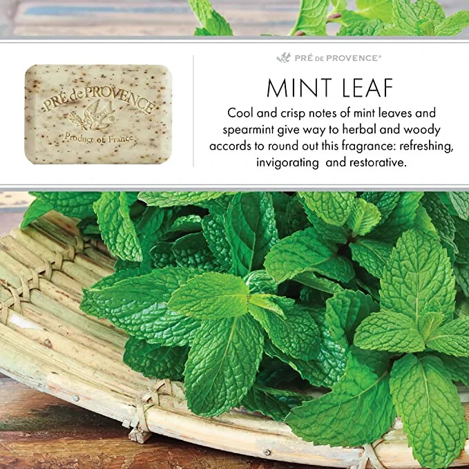 Pre de Provence - Soap 2 Bars -Mint Leaf - 250 Gram | eBay