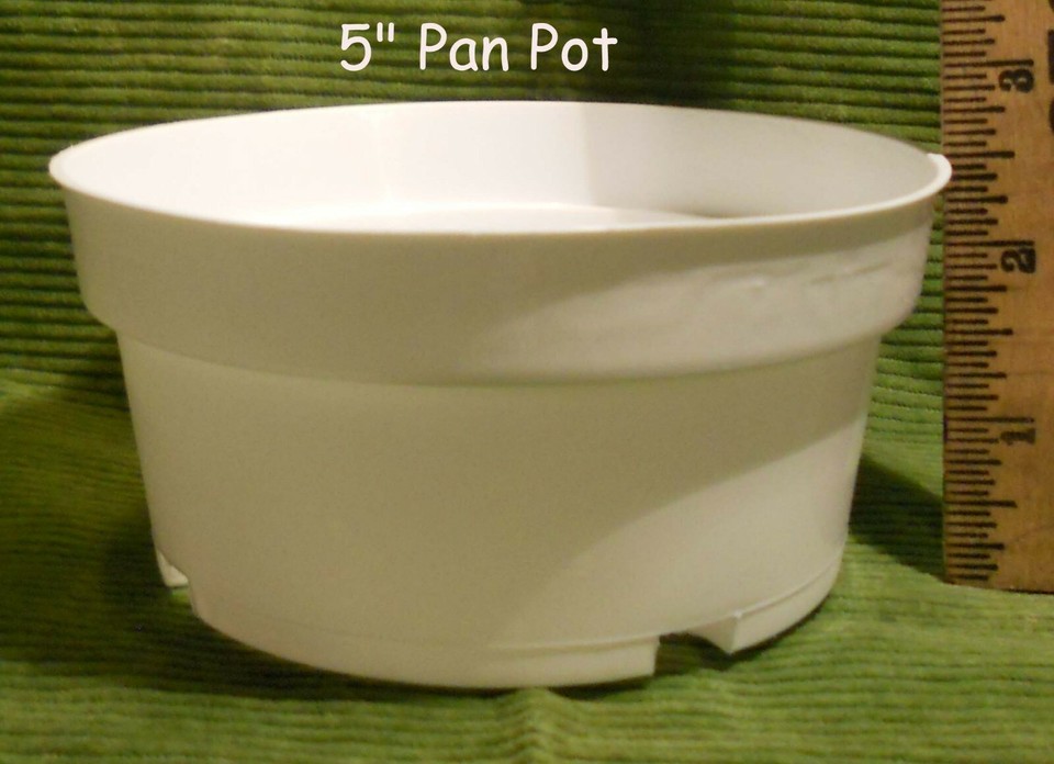 Pan Pots Bulb Pans 5” shallow plastic pots white set of 6 free shipping ...