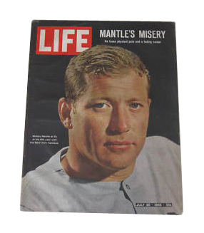 Life - July 30, 1965 Back Issue for sale online | eBay