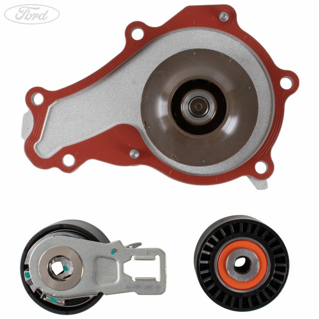Genuine Ford 1.5 Duratorq TDCi Cam Belt Water Pump & Tensioner 2008687 ...