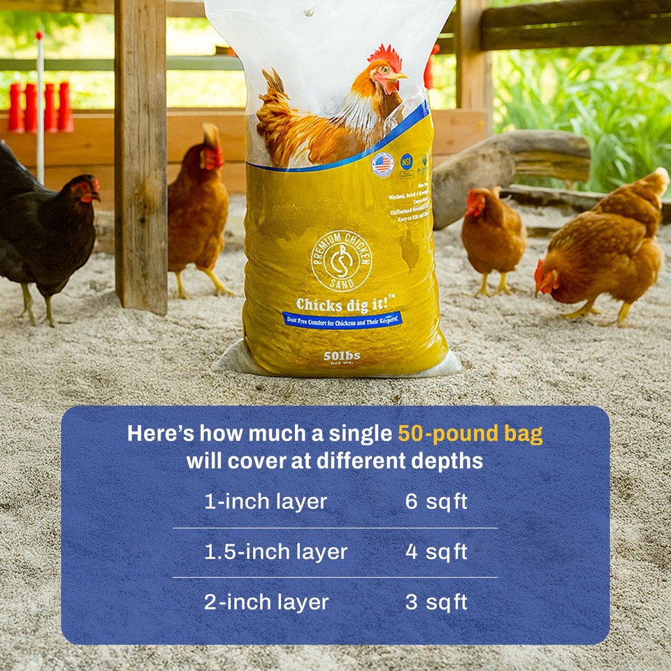 Premium Chicken Sand, Odor Eliminating Bedding for Coops, 50 Lb Bag, 4 ...
