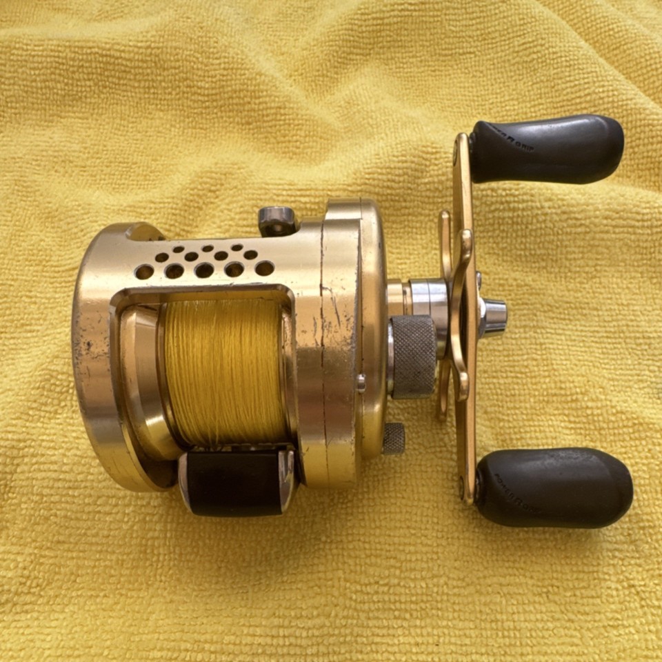 Shimano Calcutta TE 200GT Baitcast Reel Gold Size 200 Calcutta TE (used ...