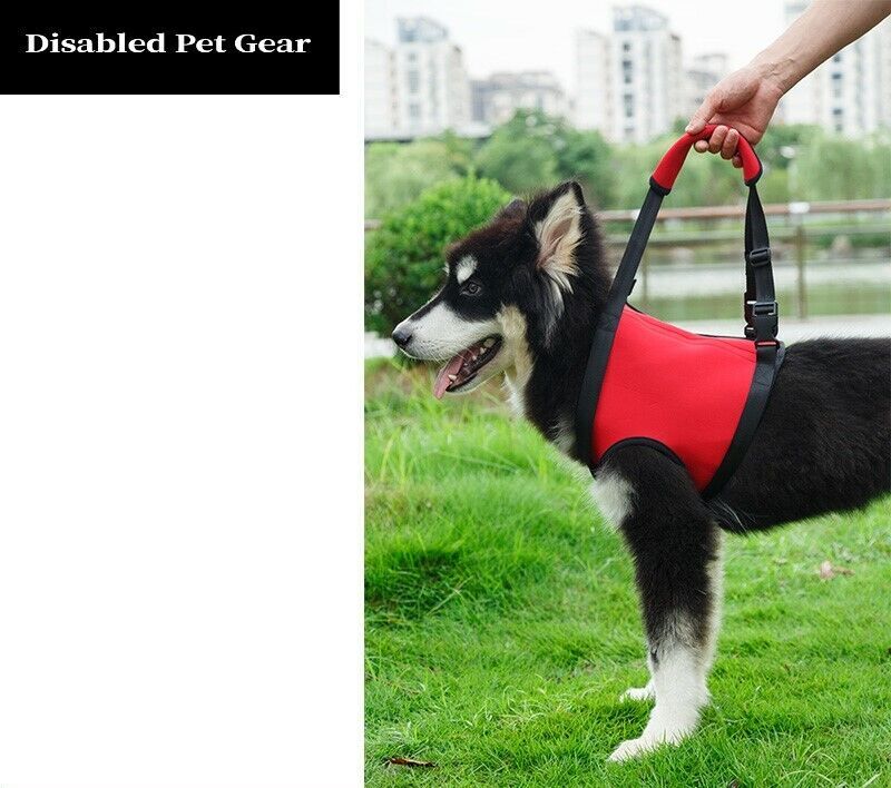 Ddgear Front Leg Dog Lift Harness Help with Poor Stability, Injury ...