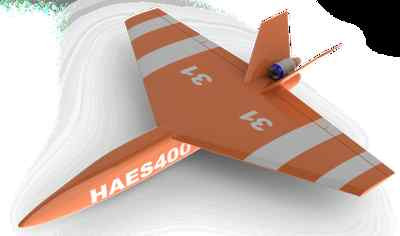 HAES 400 Aerial Target UAV Airplane Wood Model Replica Large Free ...