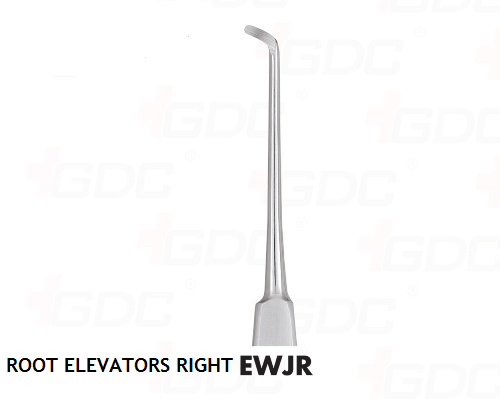 DENTAL INSTRUMENT ROOT ELEVATORS WARWICK JAMES RIGHT EWJR our best to help you! | eBay