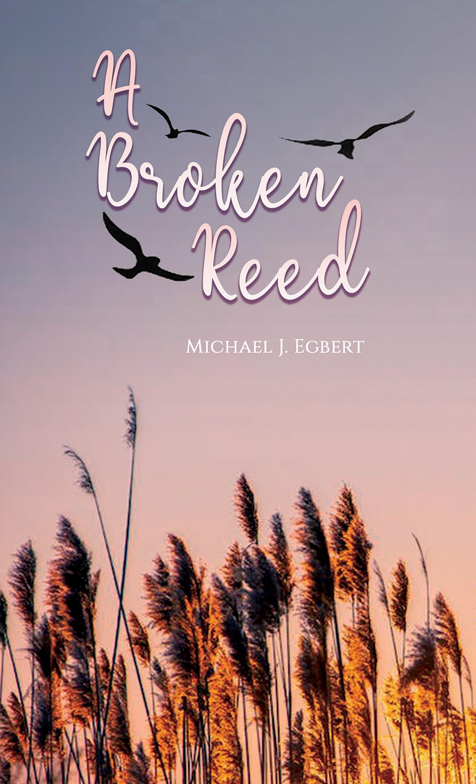 Michael J Egbert A Broken Reed (Paperback) 9781035817597 | eBay