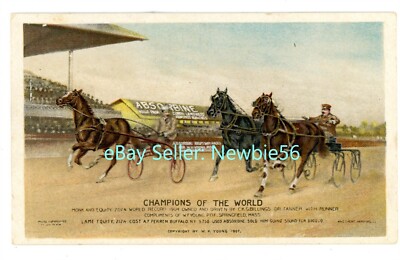 Advertising -SULKY HORSE RACING CHAMPIONS-Absorbine AD PMC Postcard ...