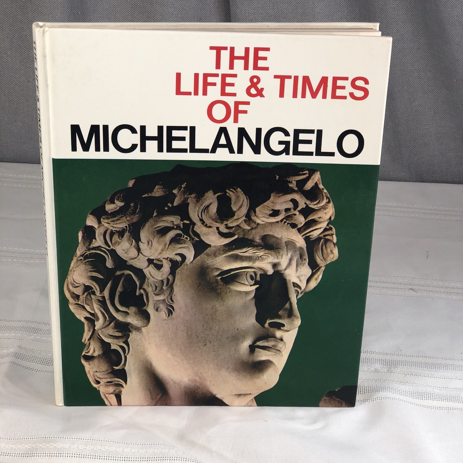 Life And Times Of Michelangelo
