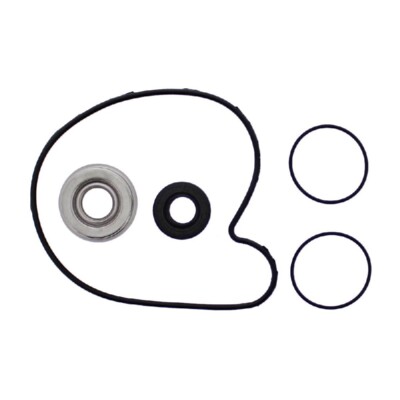 HOT RODS WPK0070 WATER PUMP KIT POLARIS RZR 900 50 INCH 2019 | eBay