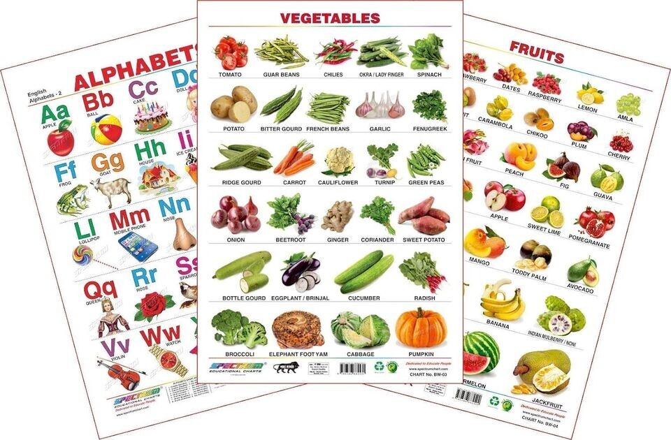 Fruits And Vegetables Alphabet Chart QS Toy High Quality English Music